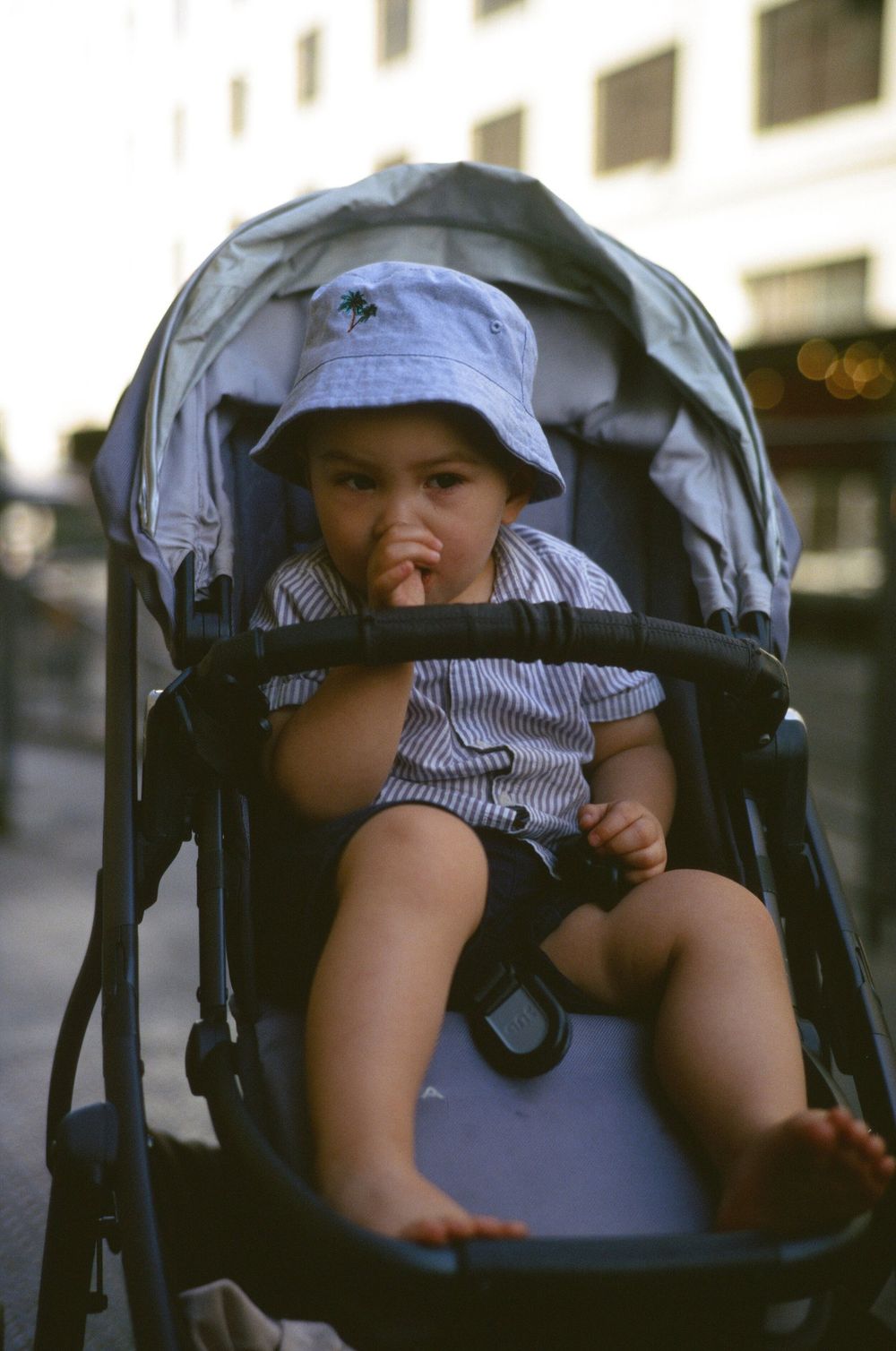 Kodak Ektachrome E100 Review | Decaf Journal