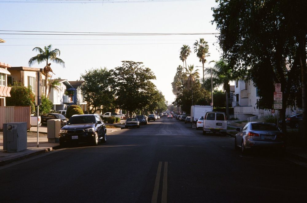 Kodak Ektachrome E100 Review | Decaf Journal